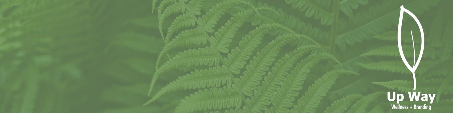 Up Way – Wellness + Branding